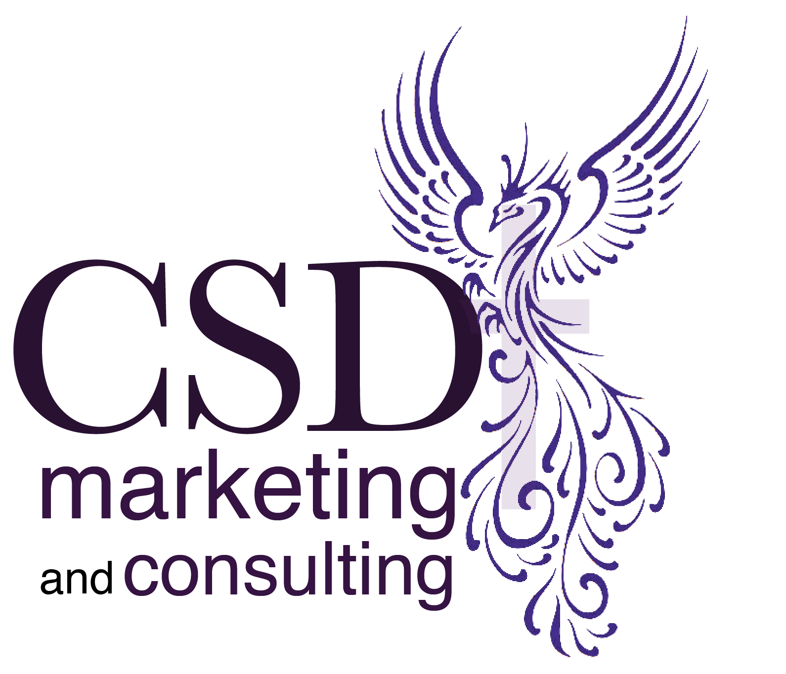 CSD Marketing & Consulting - BLACK SAN DIEGO